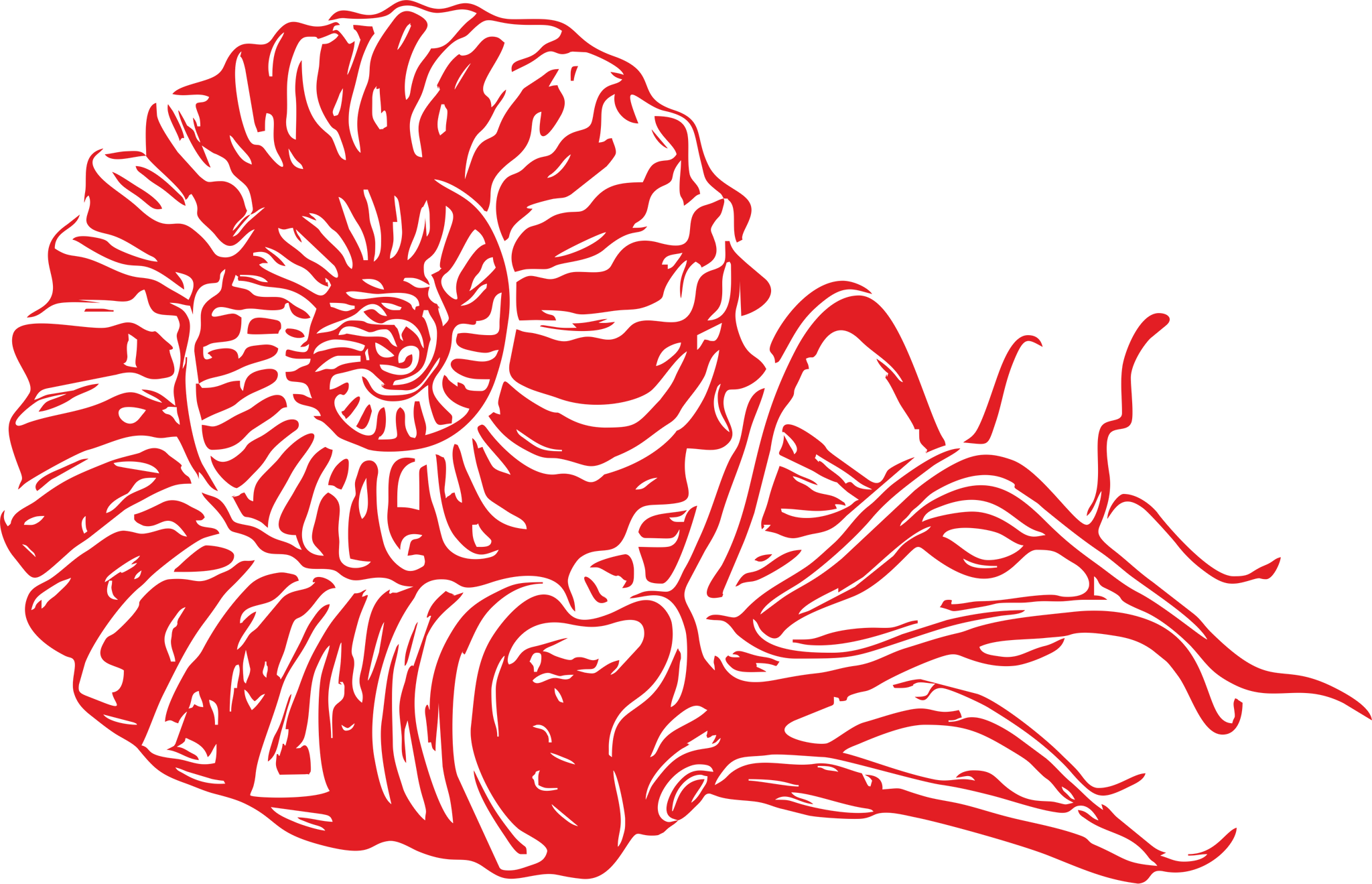 Ammonite Fossil Sticker – Spiral Shell Wall Decal for Nature Lovers